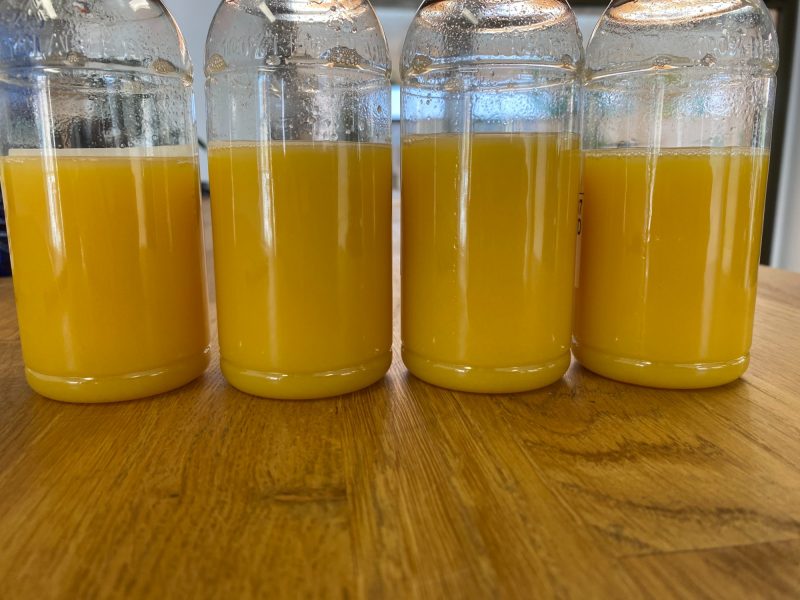 BAOR. Zumos y concentrados de Frutas y hortalizas | fabricante zumo de ...
